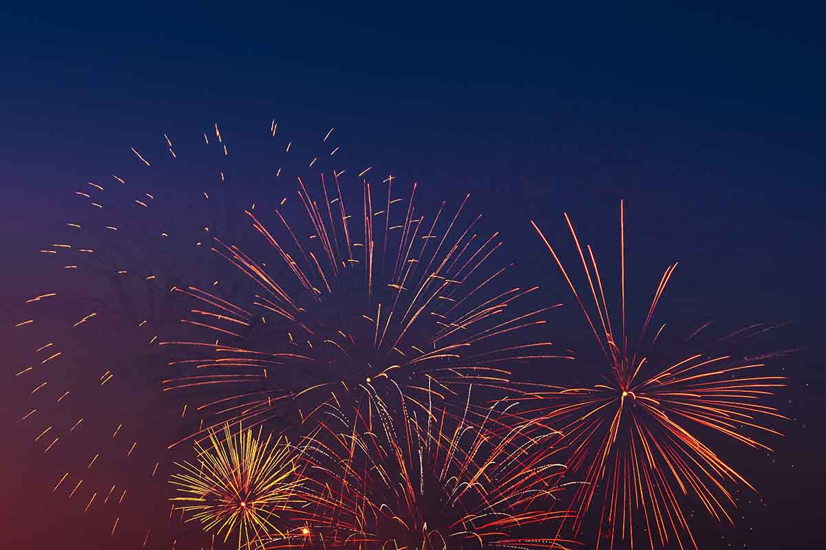 Cómo proteger a tu perro y gato de la pirotecnia de Fin de Año ...